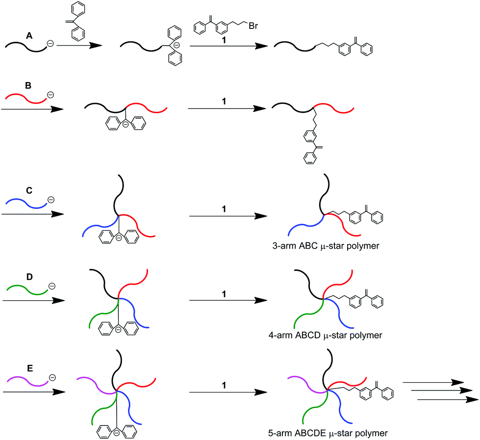 Facile synthesis of multiarmed and multicomponent star polymers by a new iterative methodology ...