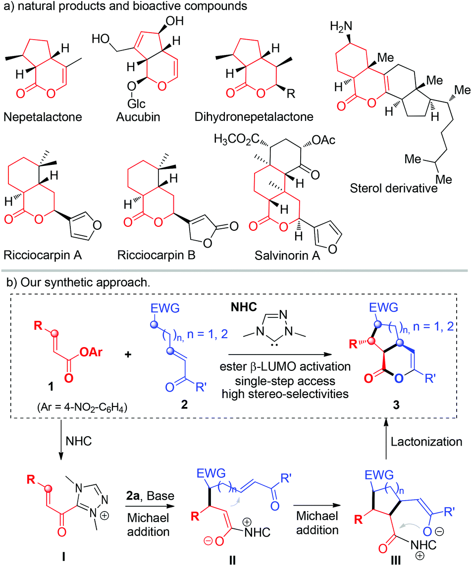 Rapid access to bicyclic δ-lactones via carbene-catalyzed activation and cascade reaction of ...