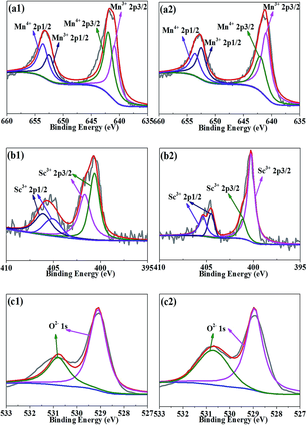 A scandium-doped manganate anode for a proton-conducting solid oxide ...