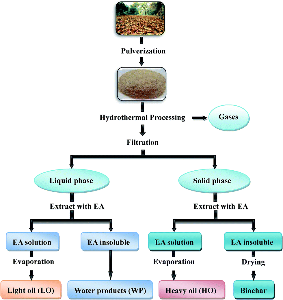 Hydrothermal Liquefaction