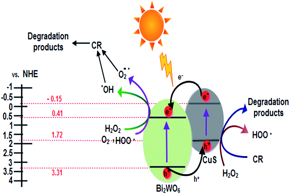 Visible light driven efficient photocatalytic degradation of Congo red ...