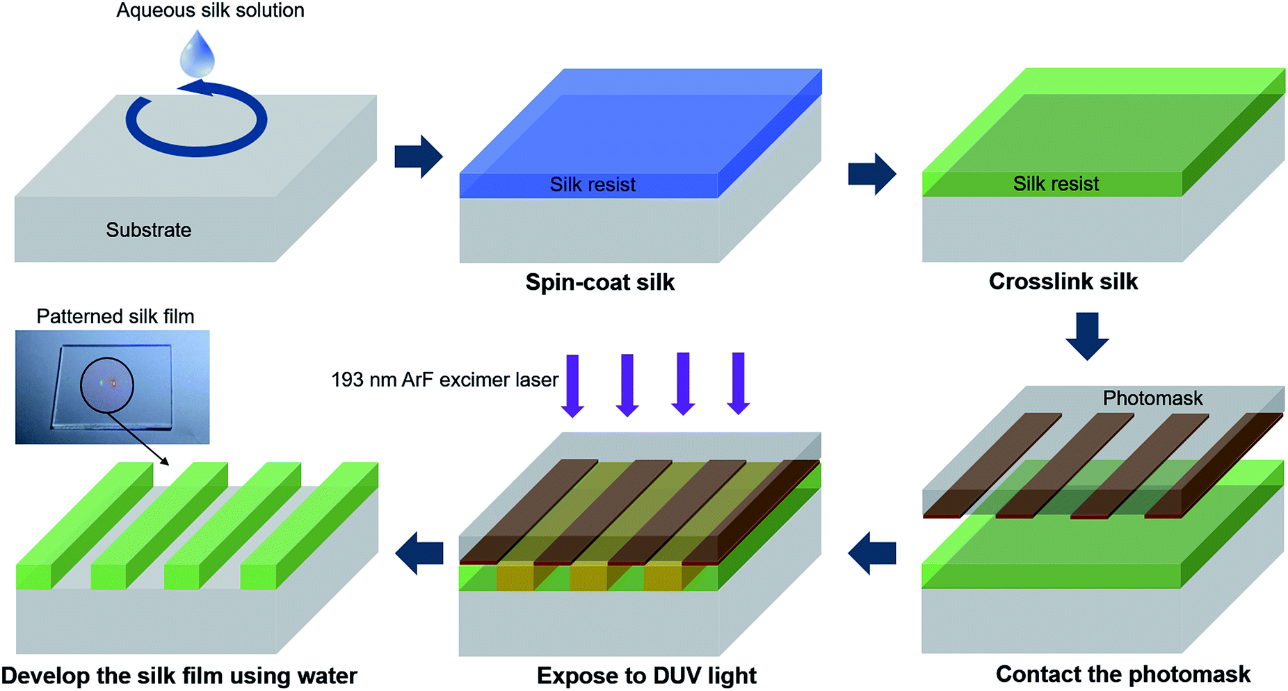 Eco-friendly photolithography using water-developable pure silk fibroin ...