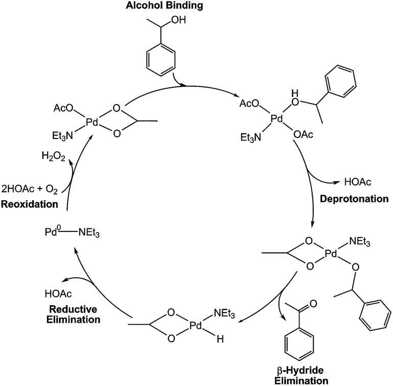 Degradation of the active species in the catalytic system Pd(OAc) 2 ...