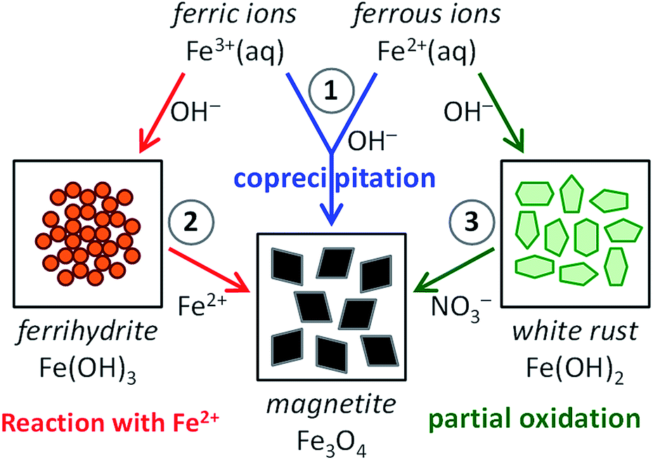 Bioinspired magnetite synthesis via solid precursor phases - Chemical ...