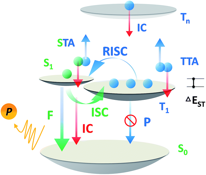 “Rate-limited effect” of reverse intersystem crossing process: the key ...