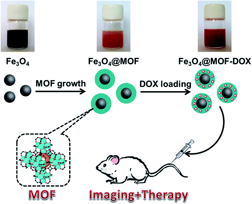 Theranostic metal–organic framework core–shell composites for magnetic ...