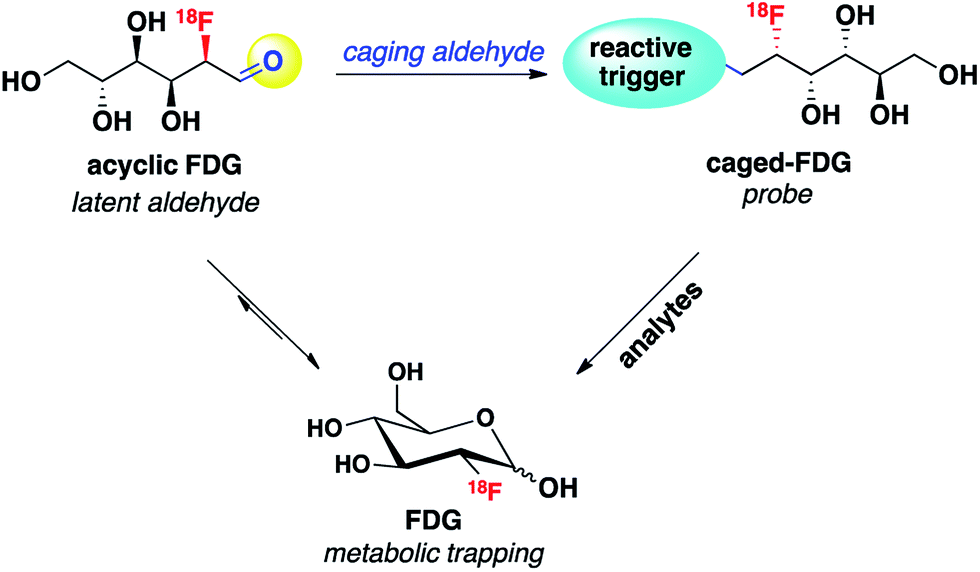 A reactivity-based [ 18 F]FDG probe for in vivo formaldehyde imaging ...