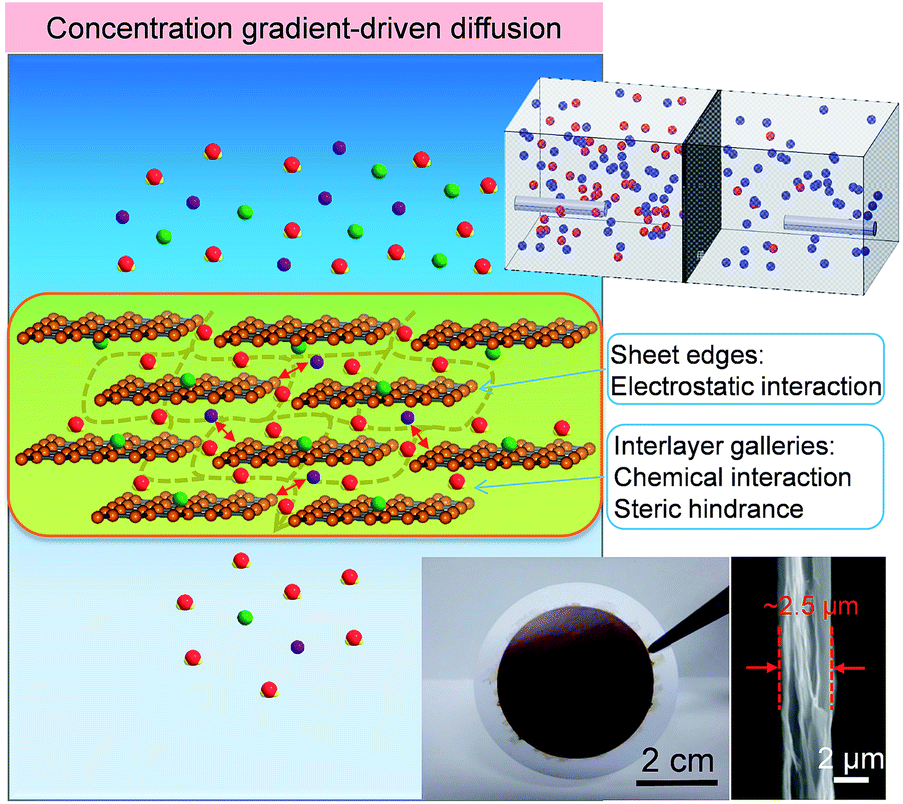 selectivity,ot,es_大山谷图库