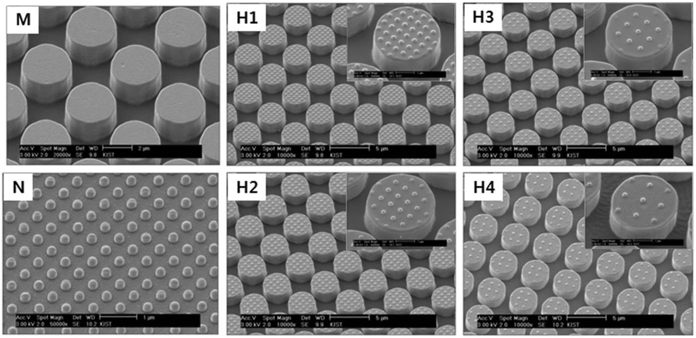 Nanotribological and wetting performance of hierarchical patterns ...