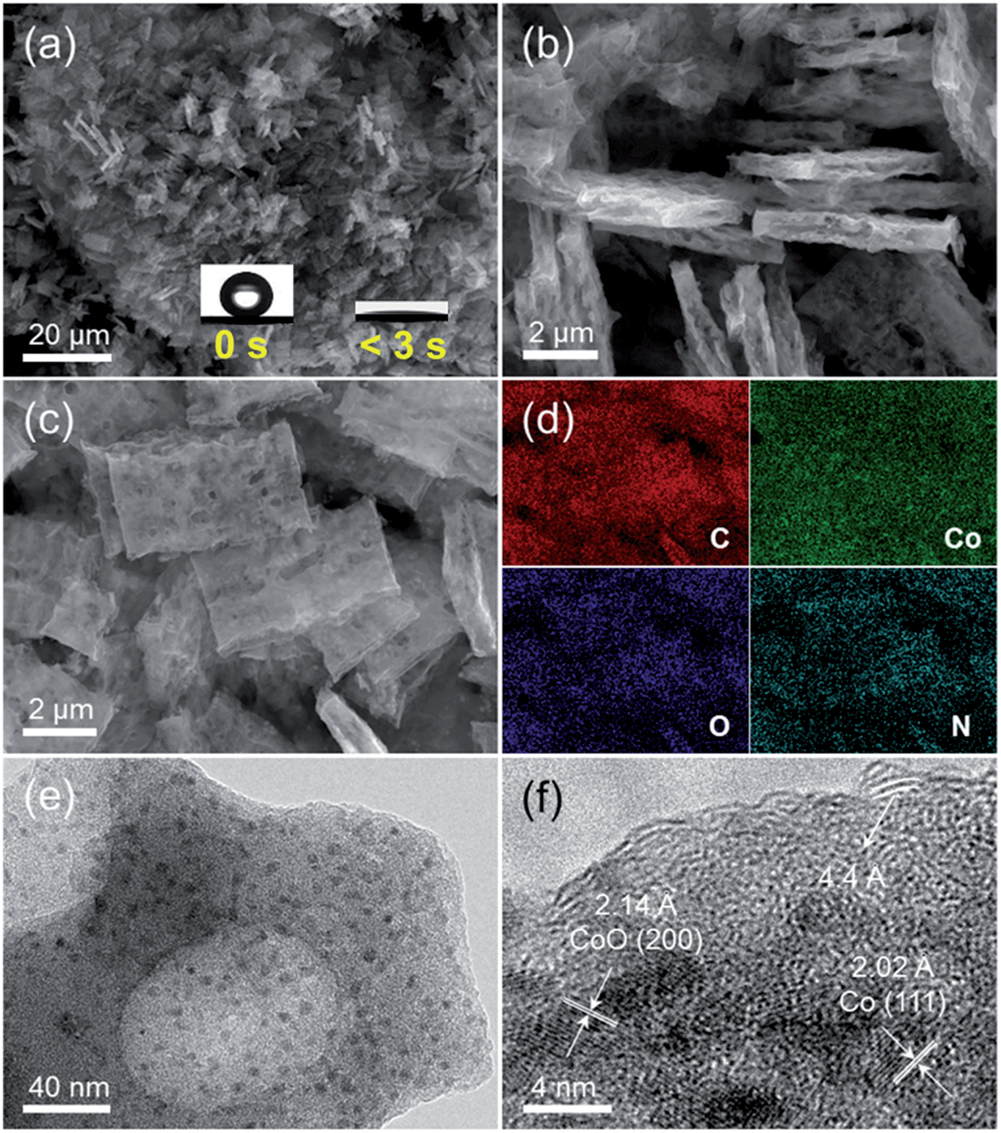 High-defect hydrophilic carbon cuboids anchored with Co/CoO ...