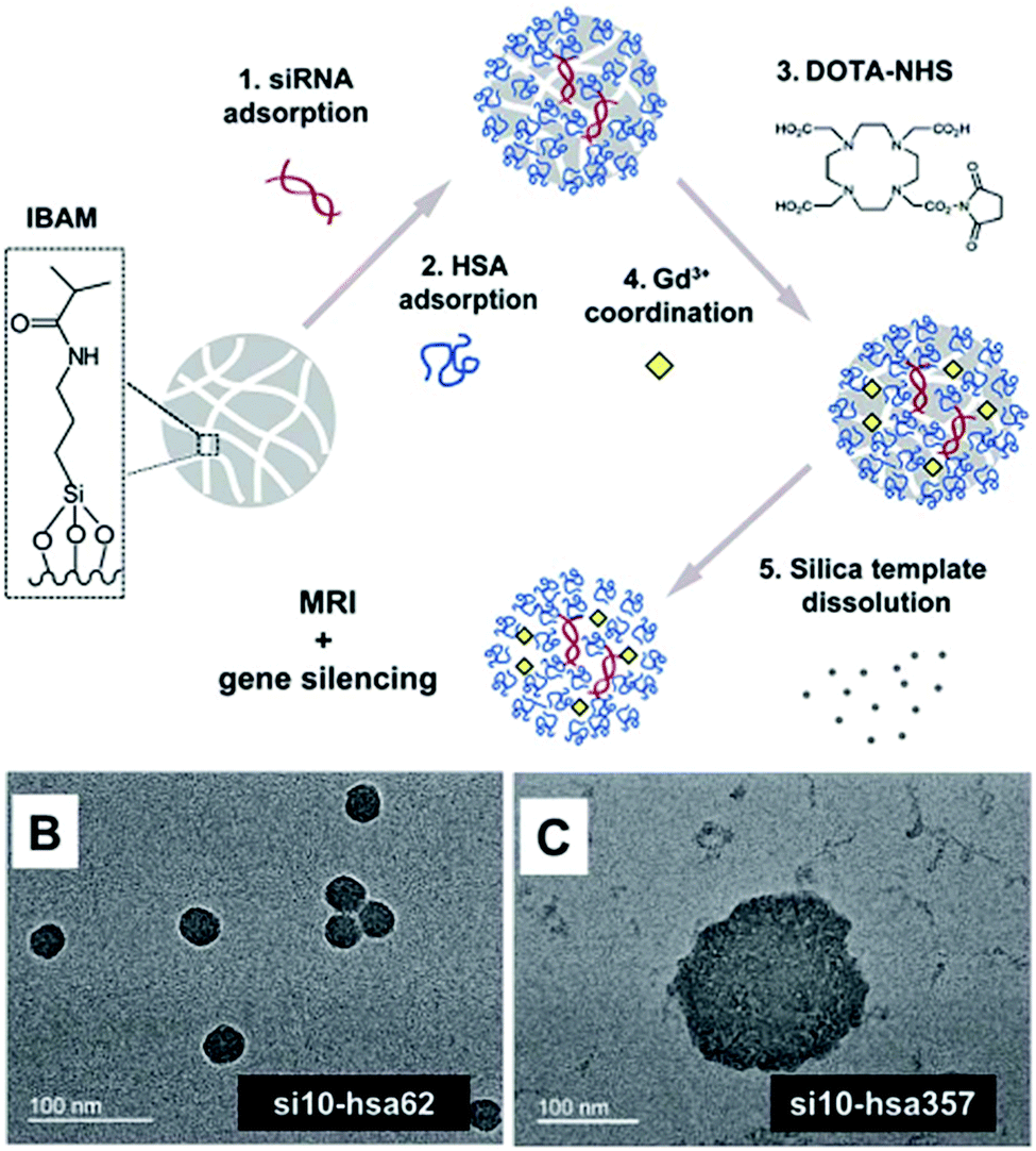 Colloidal capsules: nano- and microcapsules with colloidal particle ...