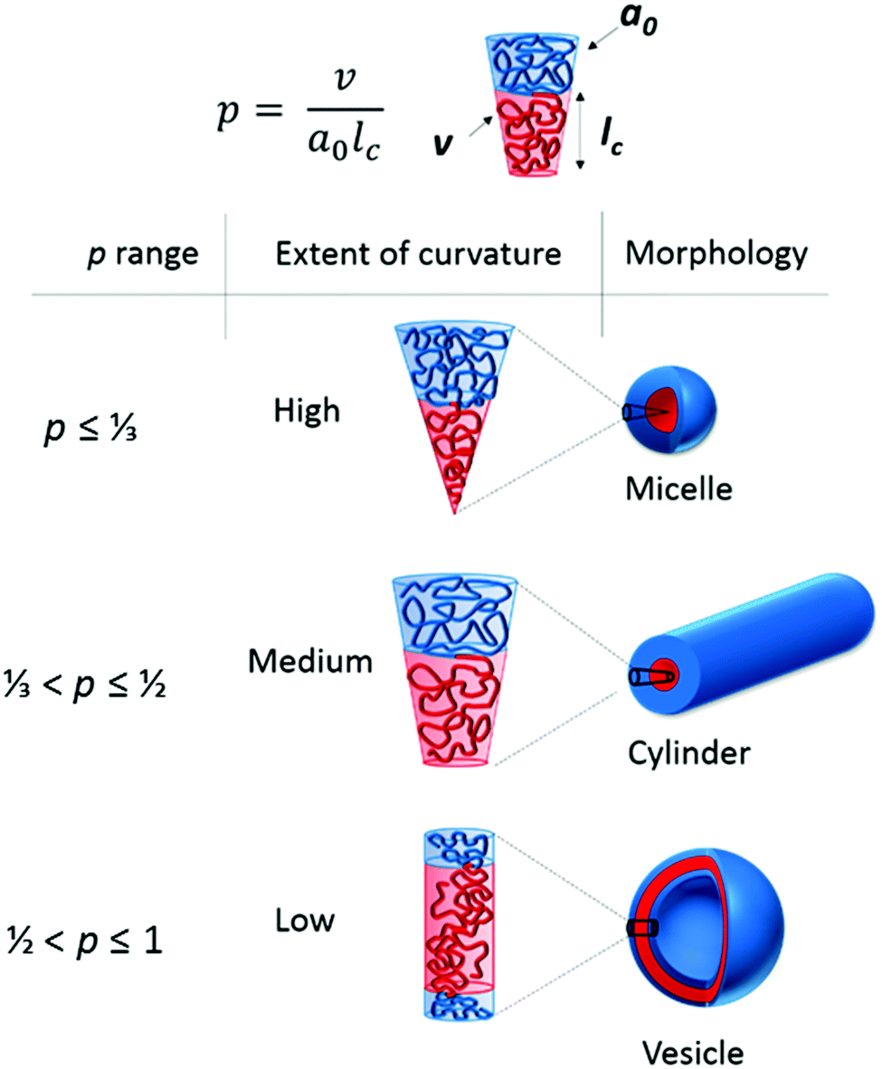 Dispersity effects in polymer self-assemblies: a matter of hierarchical ...