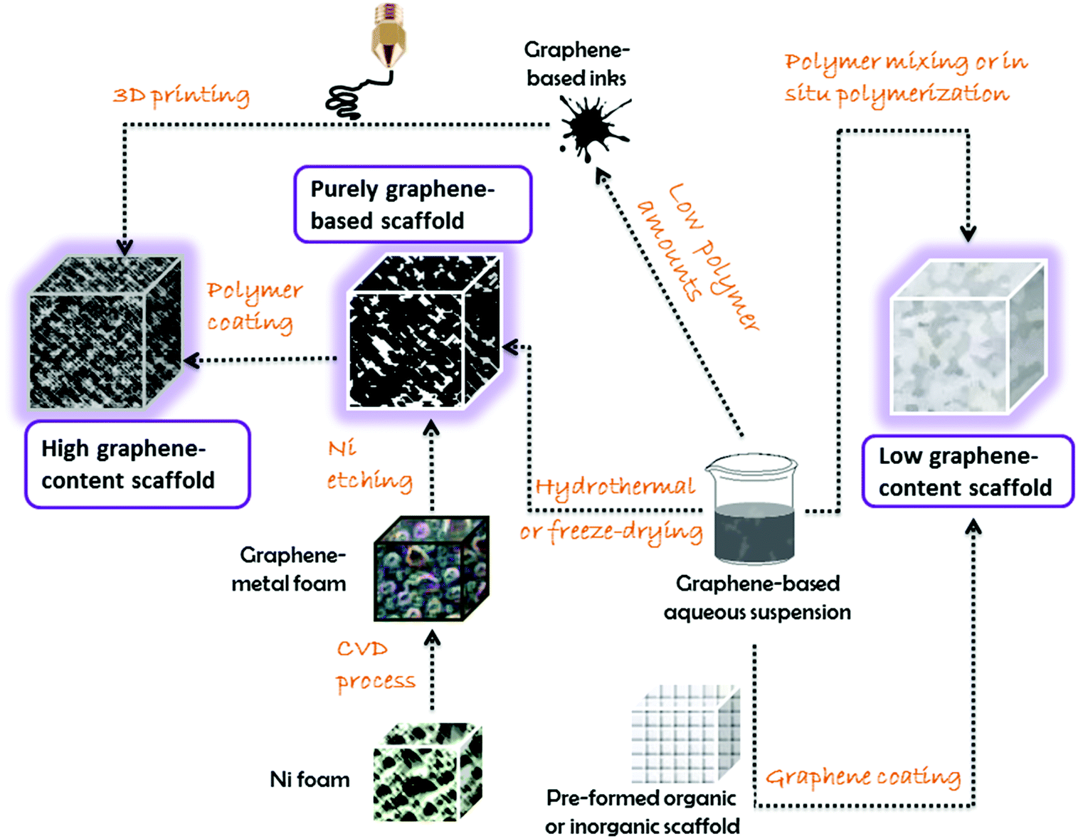 Promises, facts and challenges for graphene in biomedical applications ...