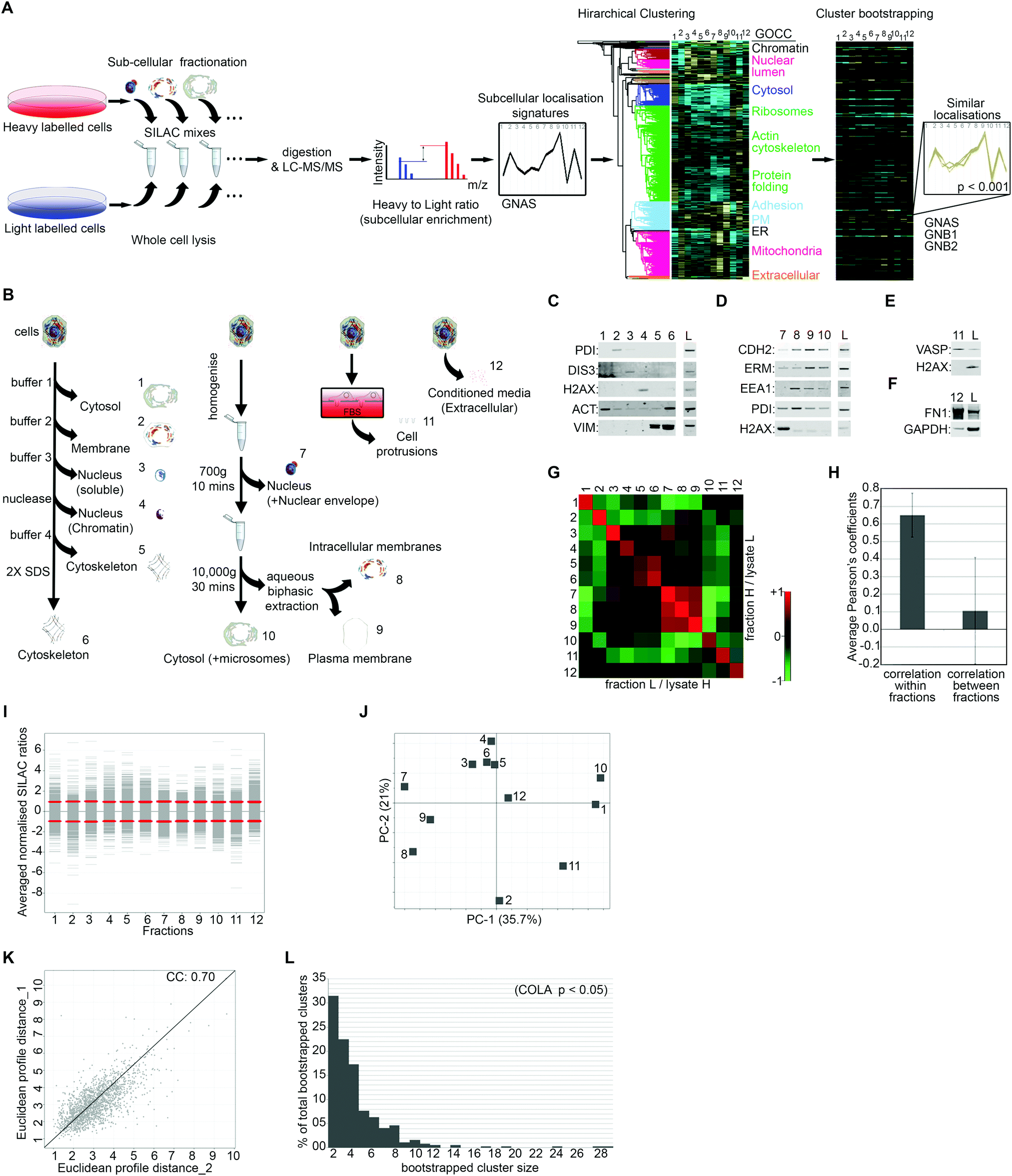 Proteomics profiling of interactome dynamics by colocalisation analysis ...