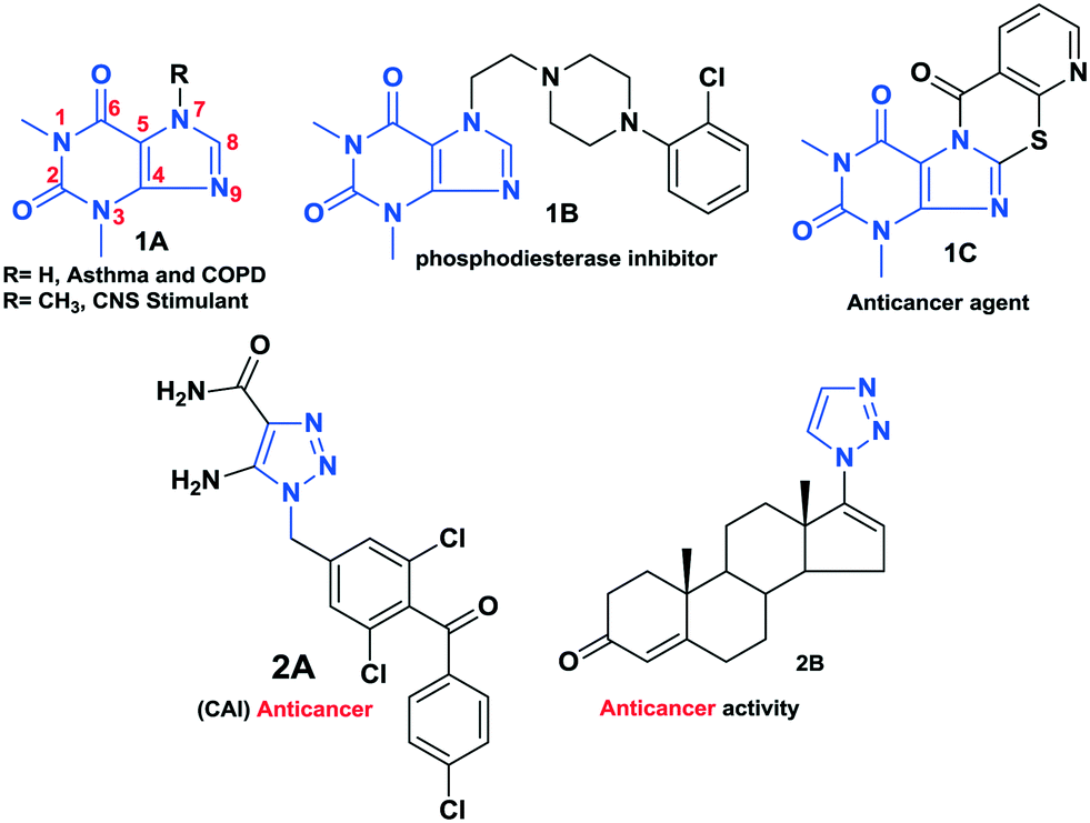 Design, synthesis, anticancer activity and docking studies of theophylline containing 1,2,3 ...