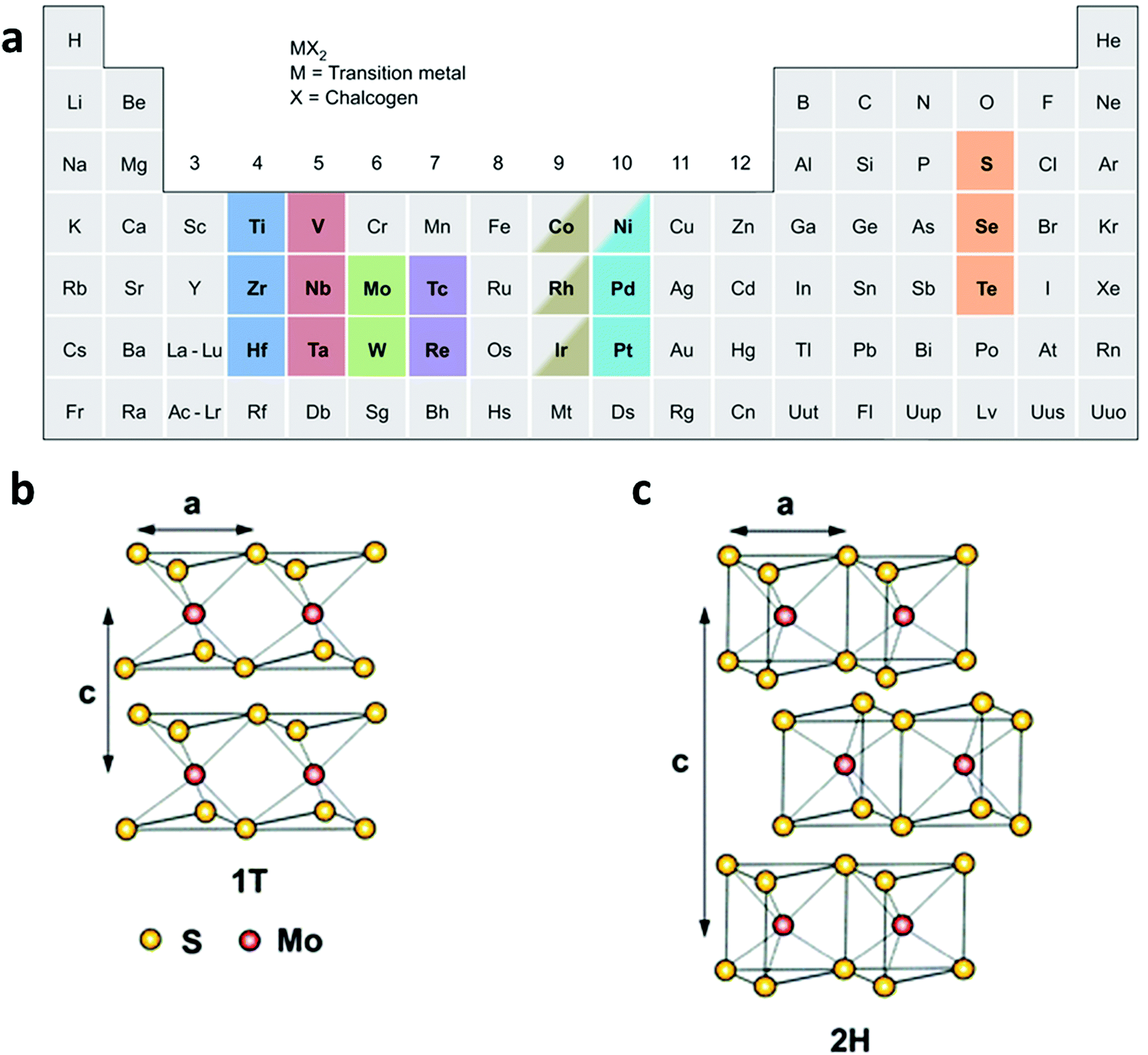 Two-dimensional transition metal dichalcogenide nanomaterials for biosensing applications ...