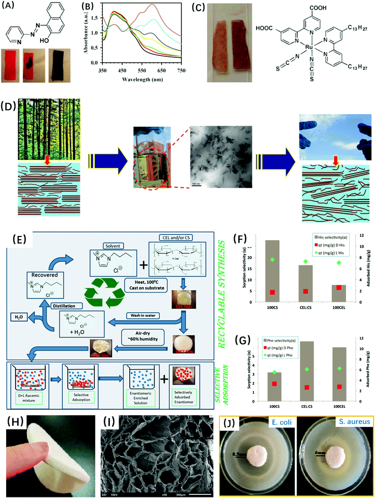 Application of ionic liquids for dissolving cellulose and fabricating ...