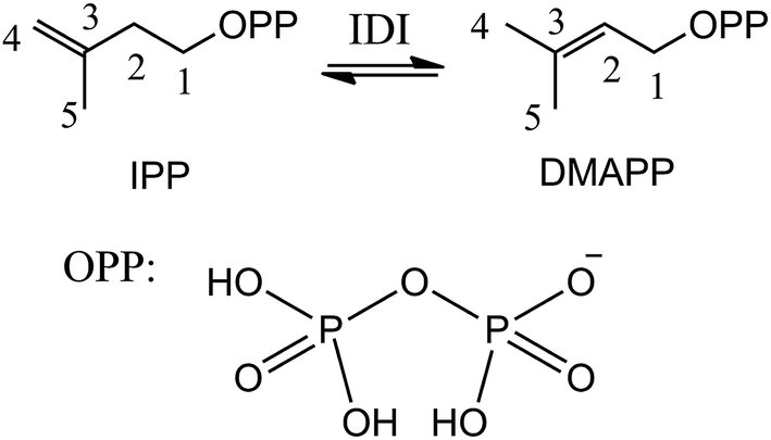 QM/MM studies of the type II isopentenyl diphosphate–dimethylallyl ...
