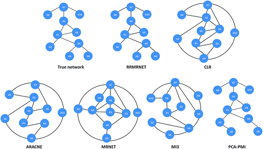 Improving gene regulatory network structure using redundancy reduction ...