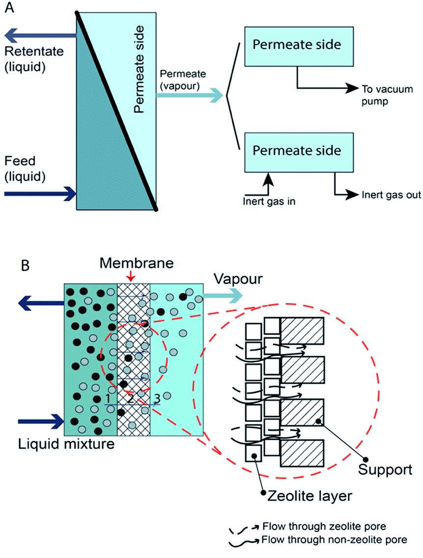 LTA zeolite membranes: current progress and challenges in pervaporation - RSC Advances (RSC ...