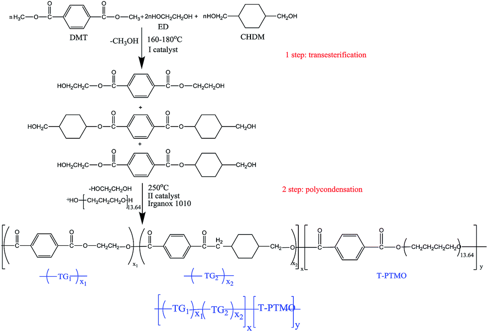 Synthesis and characterization of poly(ethylene terephthalate- co -1,4 ...