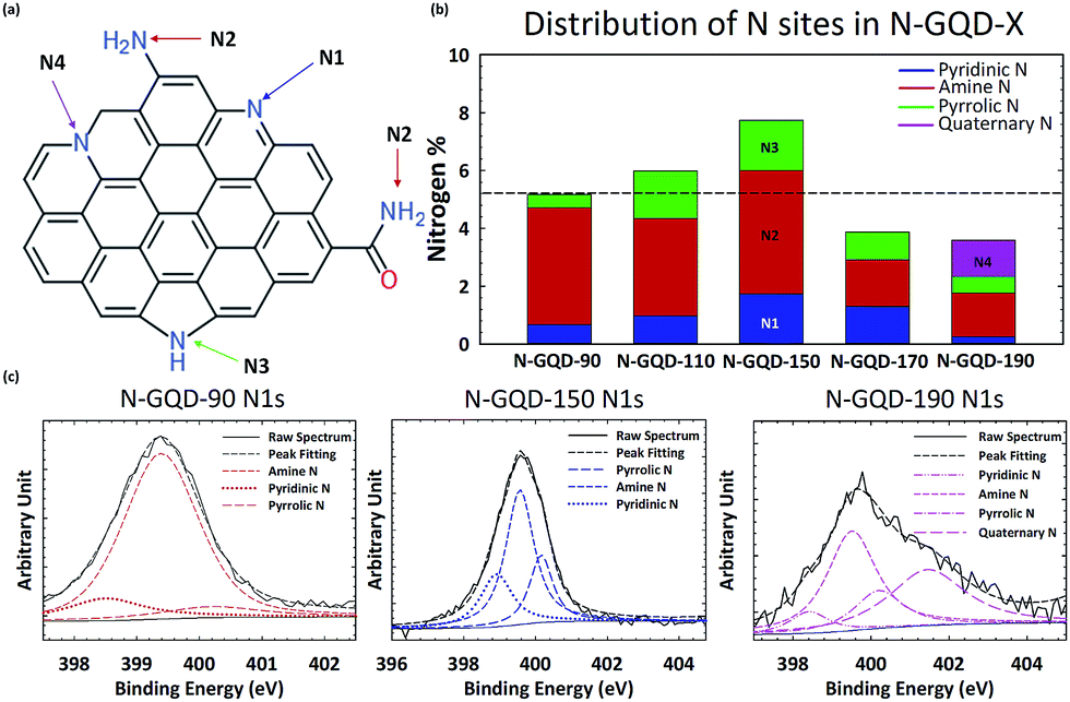 Differentiating the impact of nitrogen chemical states on optical ...