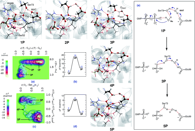 The GTPase hGBP1 converts GTP to GMP in two steps via proton shuttle ...