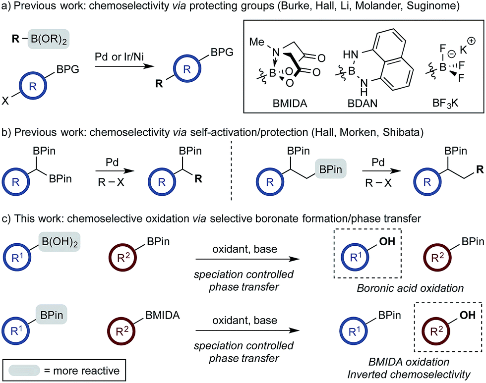 Chemoselective oxidation of aryl organoboron systems enabled by boronic ...
