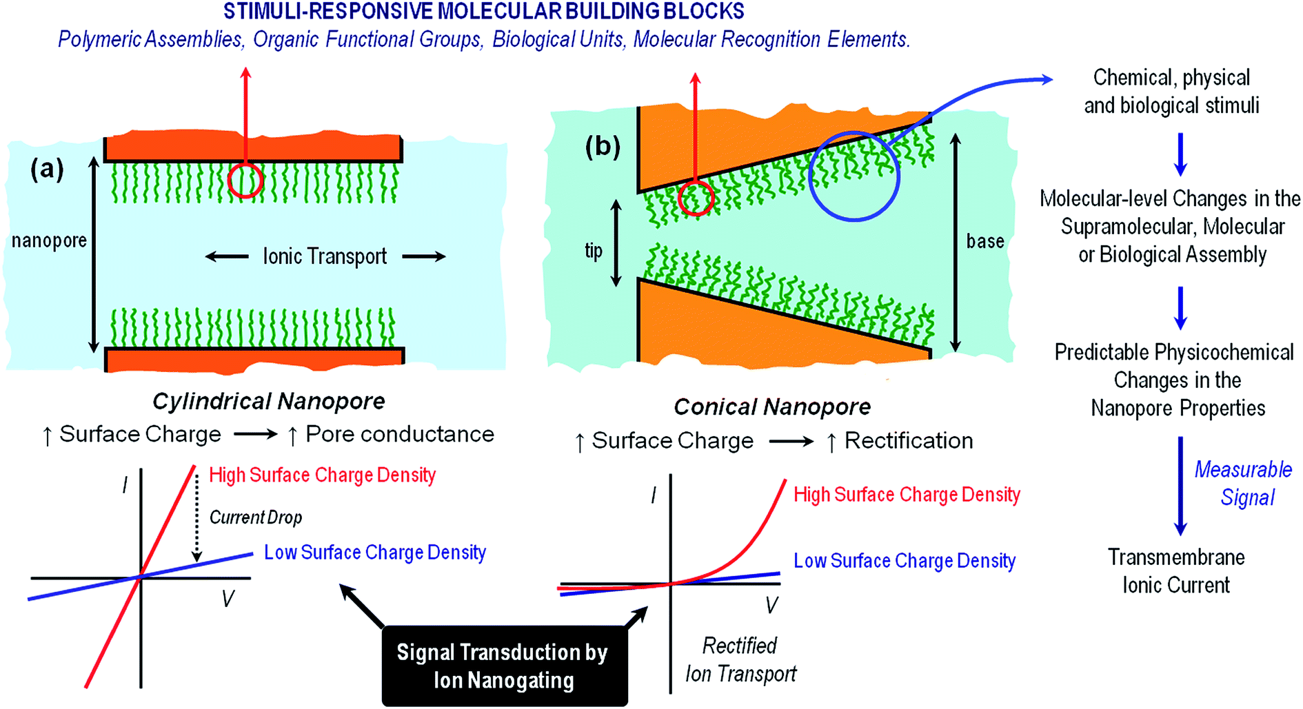 Bioinspired integrated nanosystems based on solid-state nanopores ...