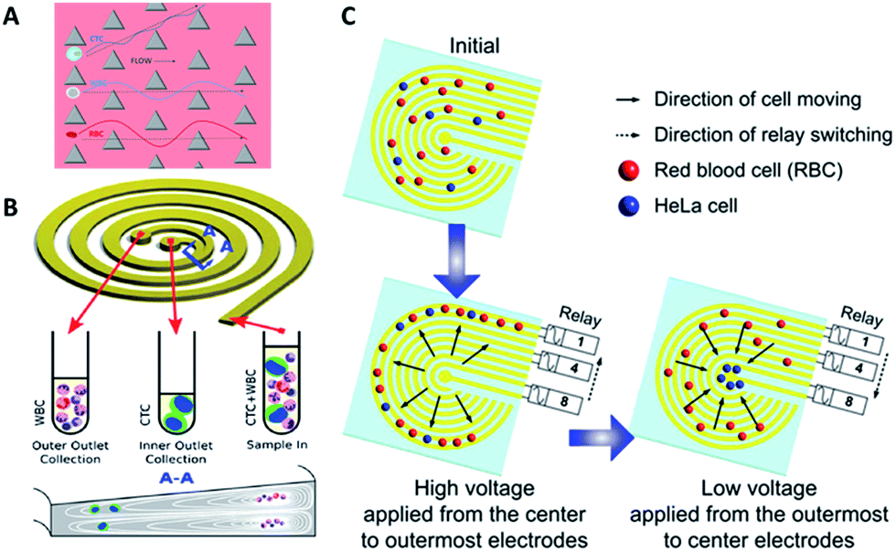 Enrichment and single-cell analysis of circulating tumor cells ...