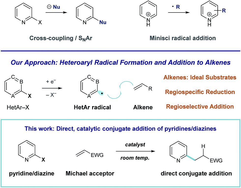A mild catalytic system for radical conjugate addition of nitrogen ...