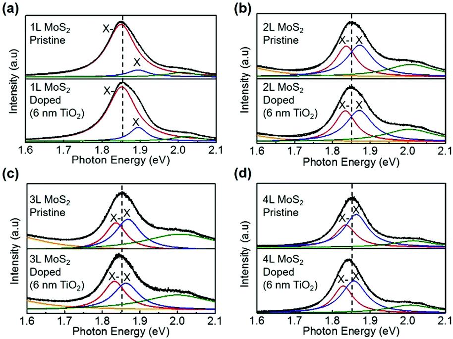 Modulation doping of transition metal dichalcogenide/oxide ...