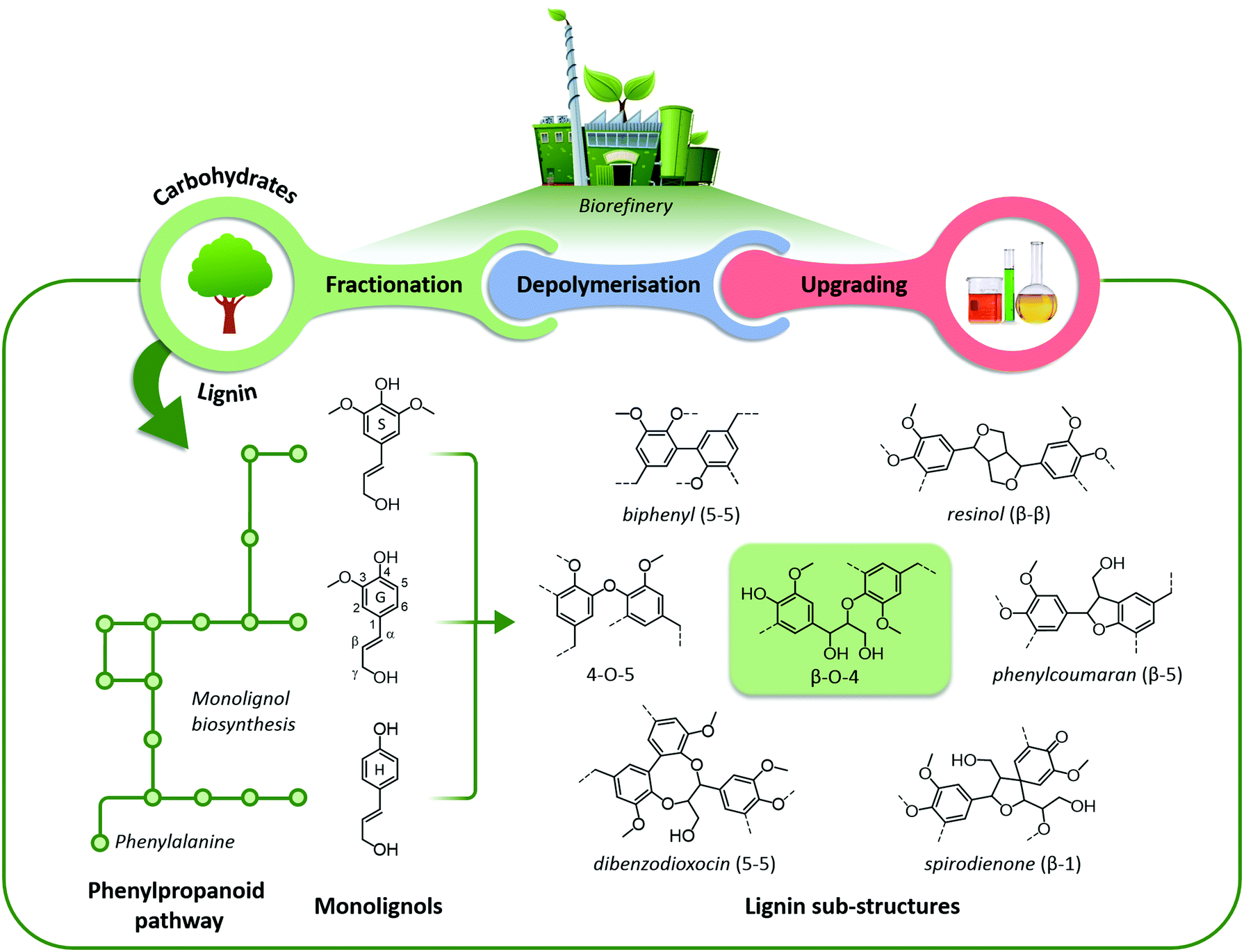 lignin,_大山谷图库
