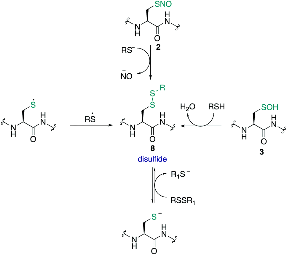 cysteine,aylyse(第10页)_大山谷图库