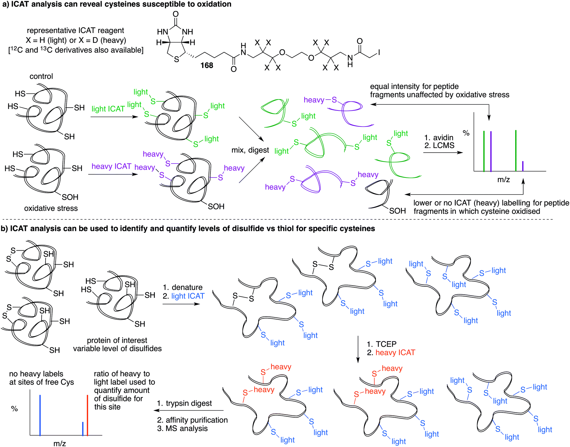 Chemical methods for mapping cysteine oxidation - Chemical Society ...