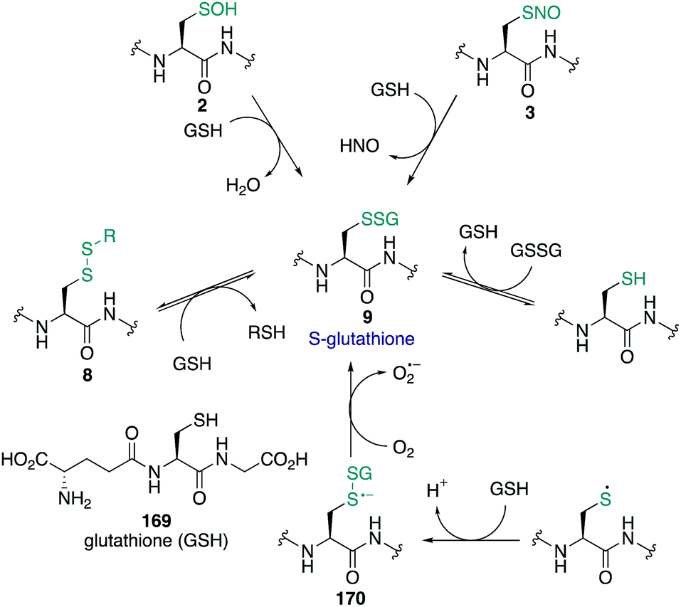 cysteine,aylyse(第19页)_大山谷图库