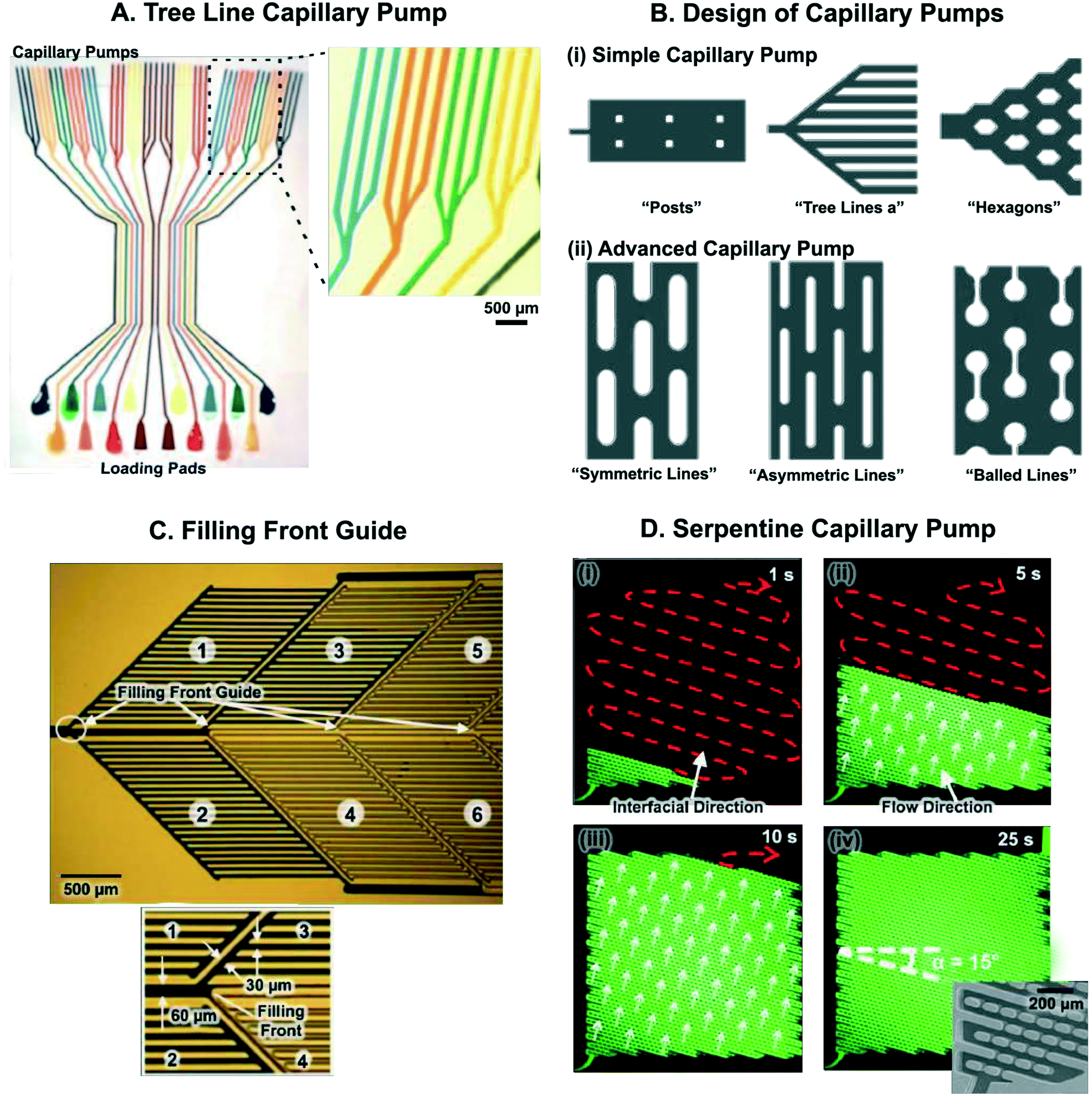 Capillary microfluidics in microchannels: from microfluidic networks to capillaric circuits ...