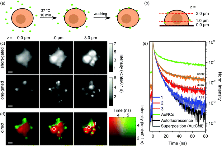 internalization,(第12页)_大山谷图库