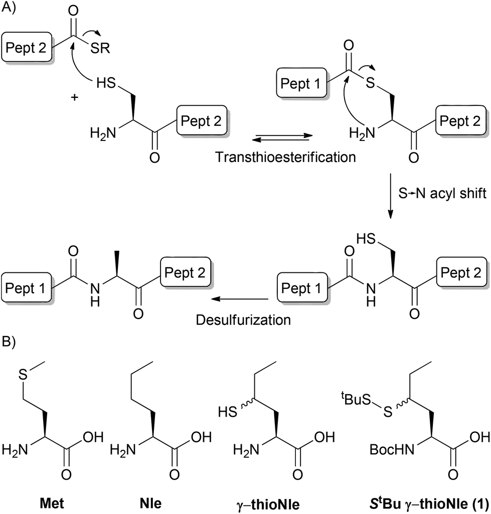 Native chemical ligation at methionine bioisostere norleucine allows ...