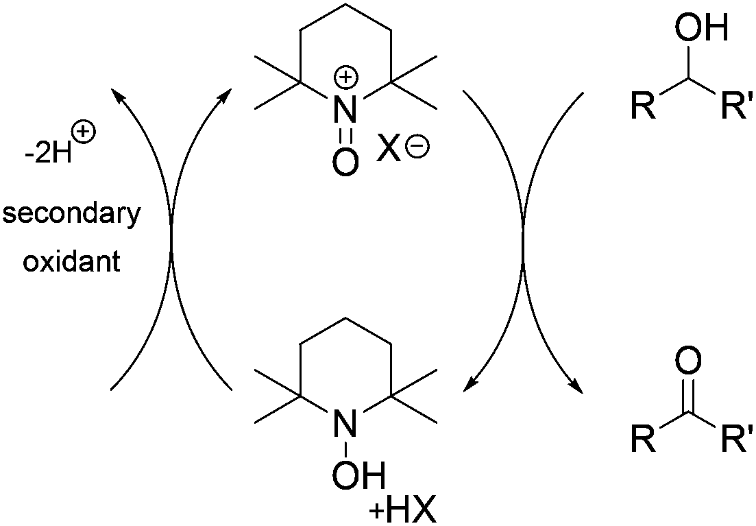 Nitroxide radical polymers – a versatile material class for high-tech ...