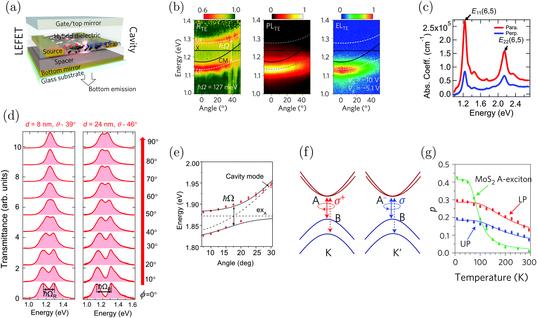 Strong light–matter interactions: a new direction within chemistry ...