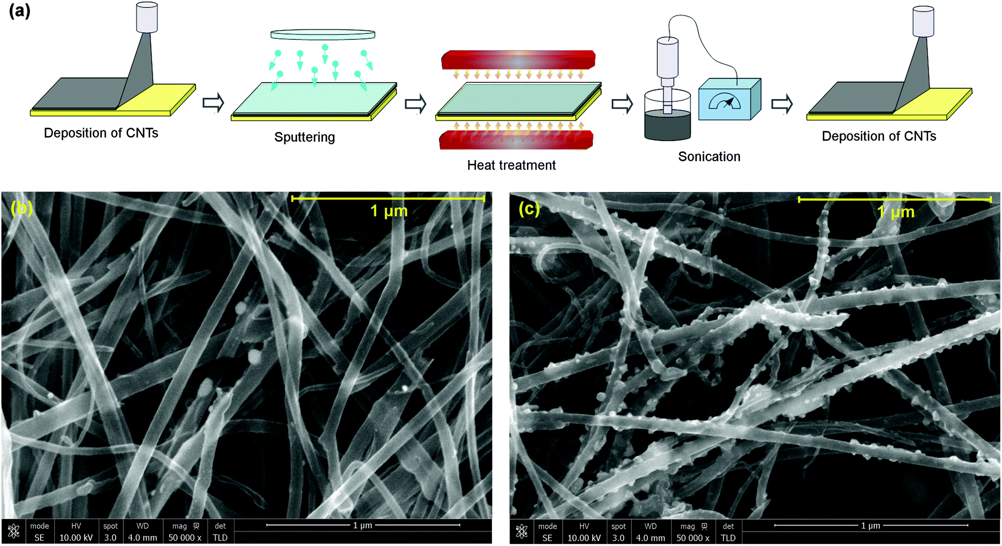 Carbon nanotube functionalization as a route to enhancing the ...