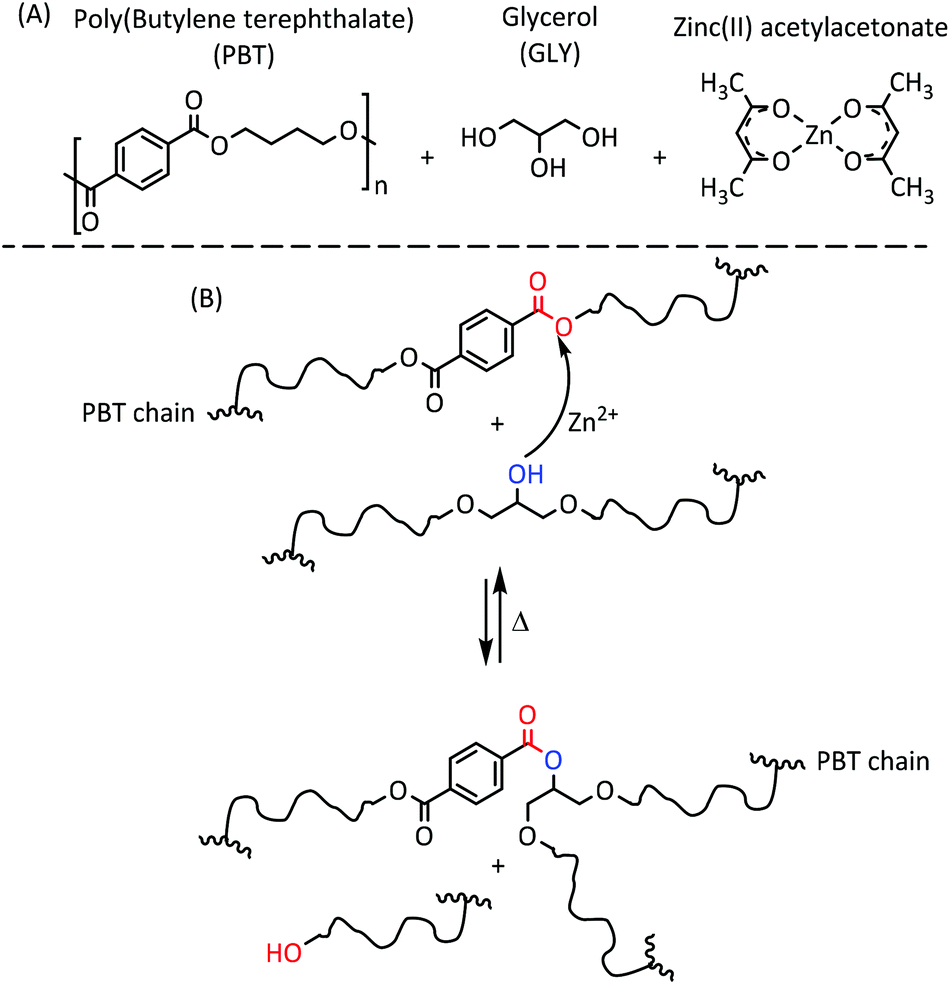 Tuning PBT vitrimer properties by controlling the dynamics of the ...