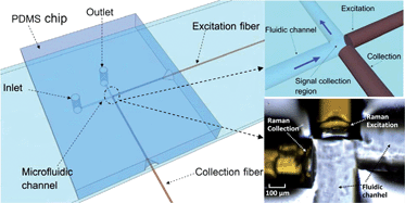 Microfluidic Raman spectroscopy | journalarticleoftheday