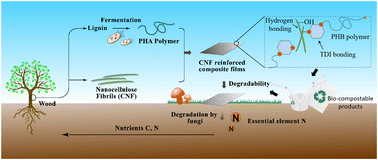 Integrated design of multifunctional reinforced bioplastics (MReB) to ...