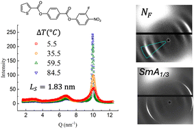 Ferroelectric nematic and smectic liquid crystals with sub-molecular ...