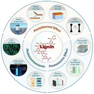 The development of lignin towards a natural and sustainable platform ...