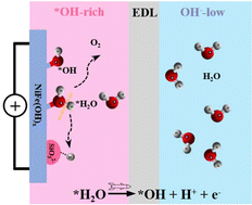Brønsted base tuning the local reaction environment to enhance neutral ...