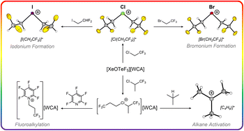 On the synthesis and structure of reactive halonium ions - Chemical ...