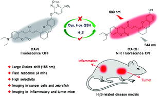 A nitrobenzoxadiazole-based near-infrared fluorescent probe for the specific imaging of H2S in ...